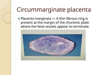 Placenta physiology and abnormalities IN PRE | PPTX