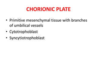placenta ppt.pptx OBSTETRICS and gynaecologist | PPTX
