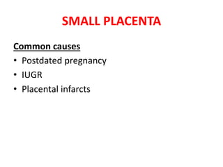 placenta ppt.pptx OBSTETRICS and gynaecologist | PPTX