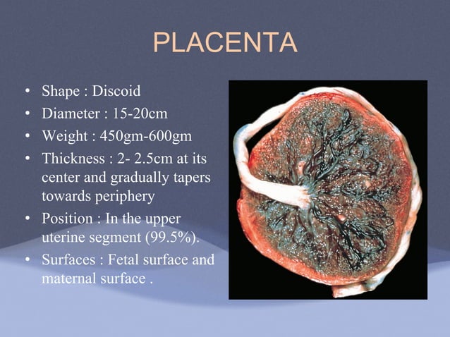 placenta grossing and it’s pathologies .pdf