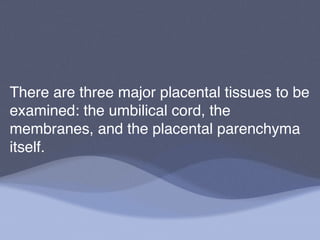 placenta grossing and it’s pathologies .pdf