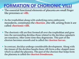 Placenta presentation 1 | PPT