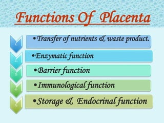 Placenta presentation 1 | PPTX