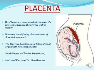 Placenta presentation 1 | PPTX