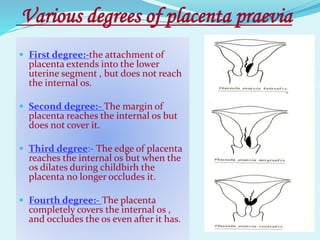 Placenta presentation 1 | PPTX