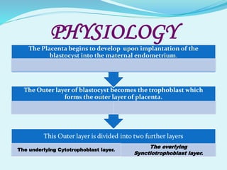 Placenta presentation 1 | PPTX