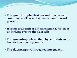 Placenta presentation 1 | PPTX