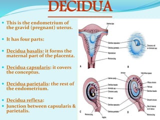 Placenta presentation 1 | PPTX