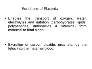 Placenta presentation (1).pptx
