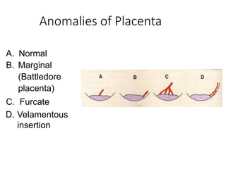 Placenta presentation (1).pptx