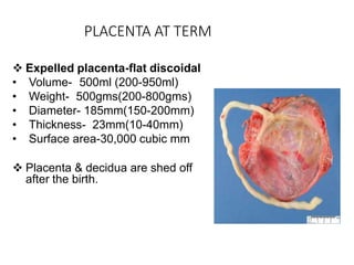 Placenta presentation (1).pptx