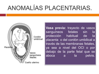 Placenta Previa - Cerclaje Cervical | PPTX