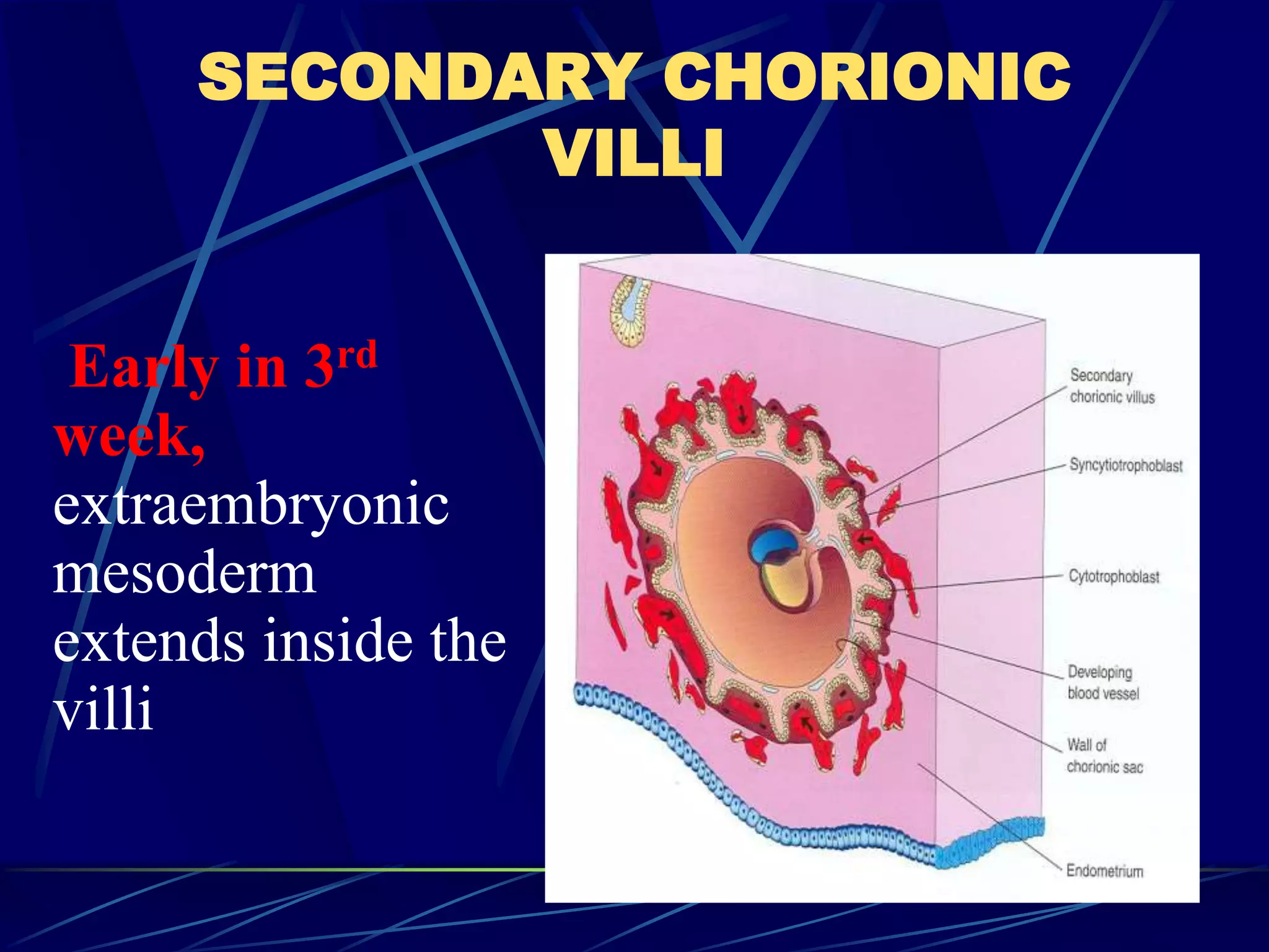 Placenta & Fetal membrane.Prof.Salah Roshdy | PPSX