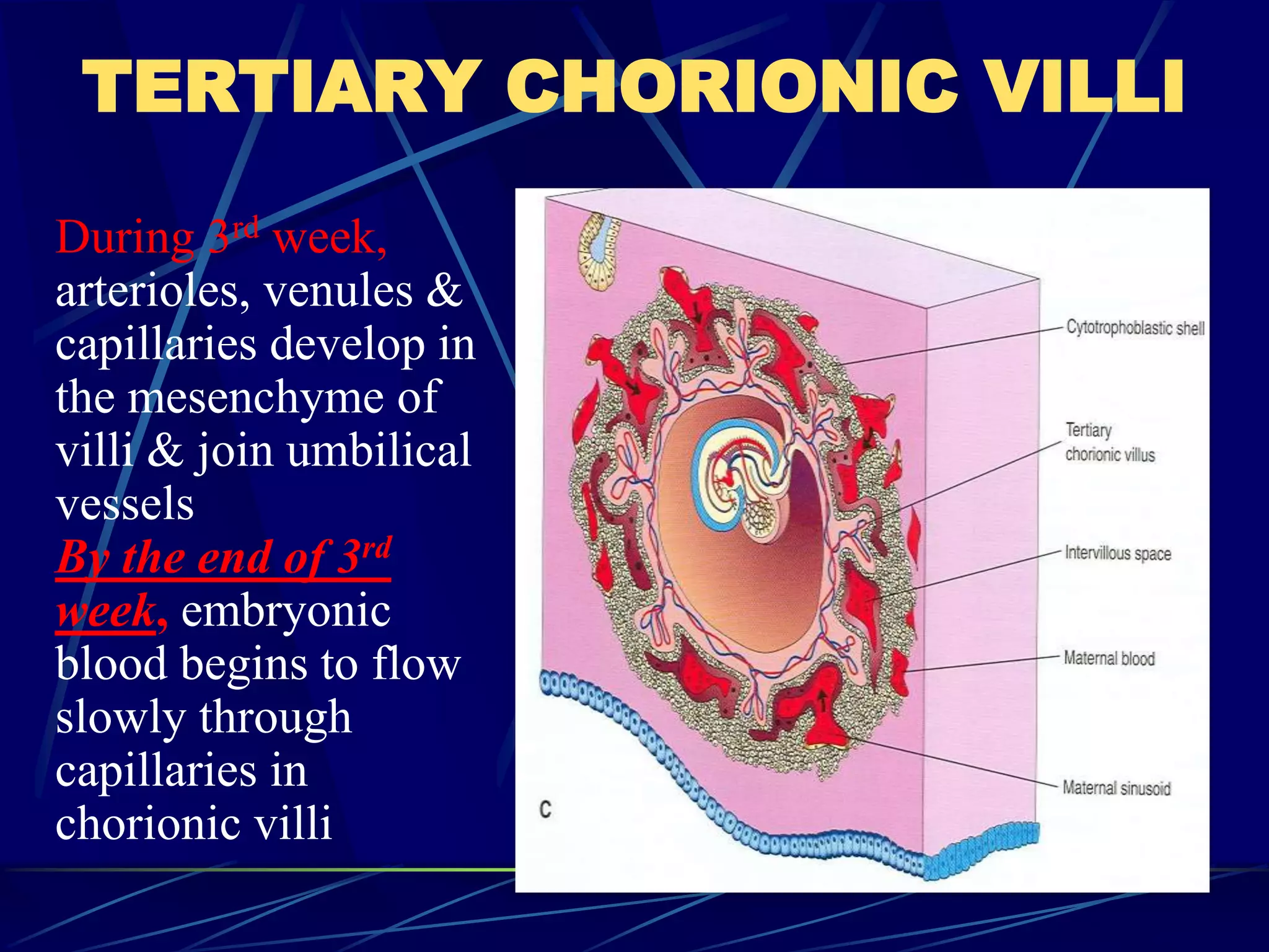 Placenta & Fetal membrane.Prof.Salah Roshdy | PPSX