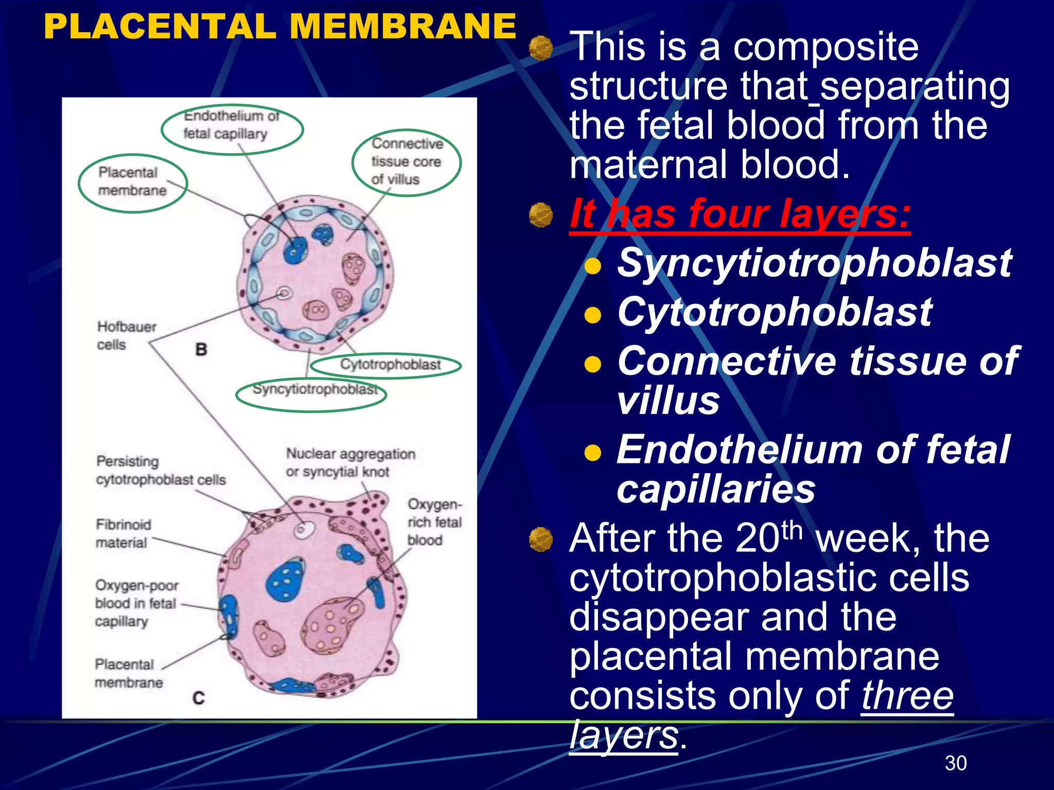 Placenta & Fetal membrane.Prof.Salah Roshdy | PPSX