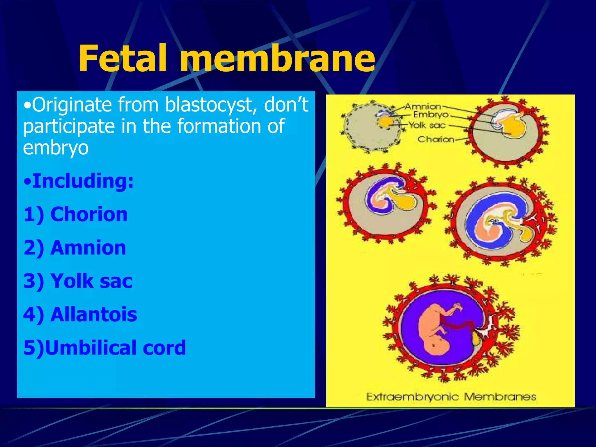 Placenta & Fetal membrane.Prof.Salah Roshdy | PPSX