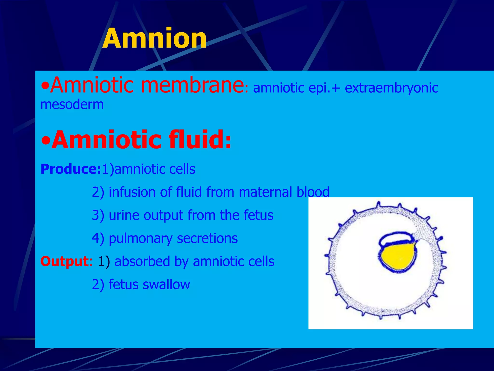 Placenta & Fetal membrane.Prof.Salah Roshdy | PPSX