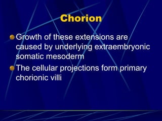 Placenta & Fetal membrane.Prof.Salah Roshdy | PPSX