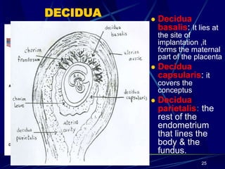 Placenta & Fetal membrane.Prof.Salah Roshdy | PPSX