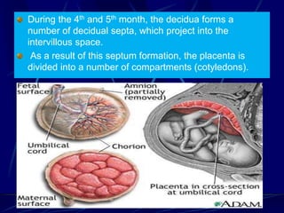 Placenta & Fetal membrane.Prof.Salah Roshdy | PPSX