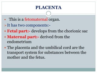 Placenta structure and functions | PPT