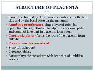 Placenta structure and functions | PPT