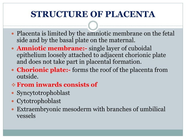 Placenta structure and functions | PPT | Pregnancy | Reproductive Health