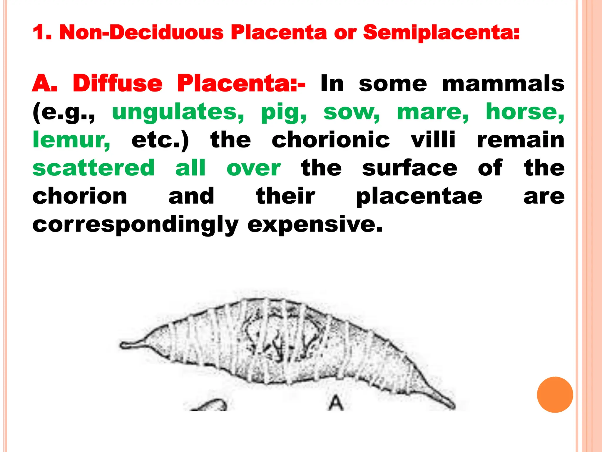 Placenta structure and types and function.pdf