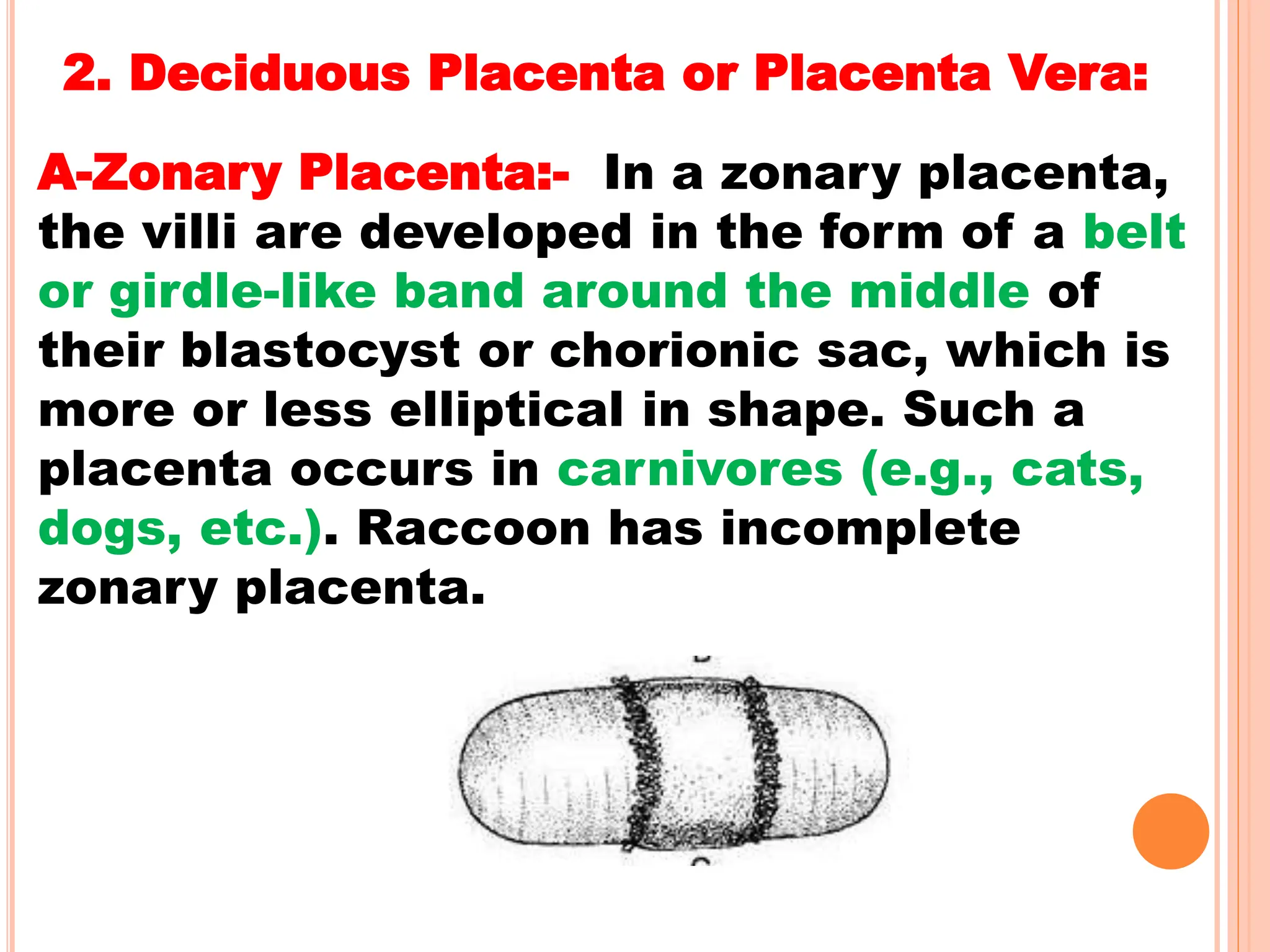 Placenta structure and types and function.pdf