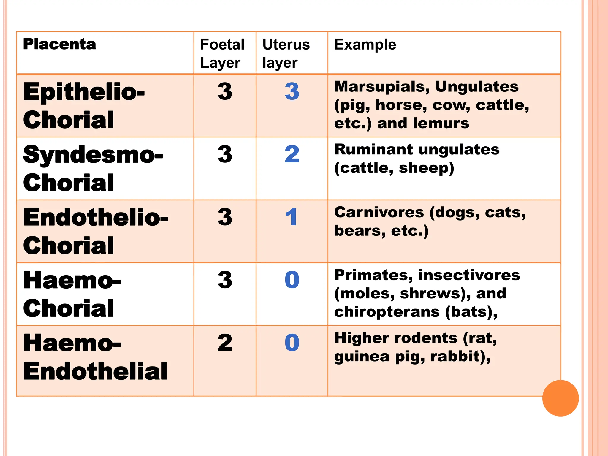 Placenta structure and types and function.pdf