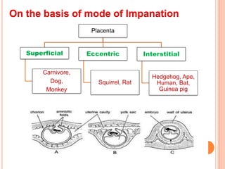 Placenta structure and types and function.pdf