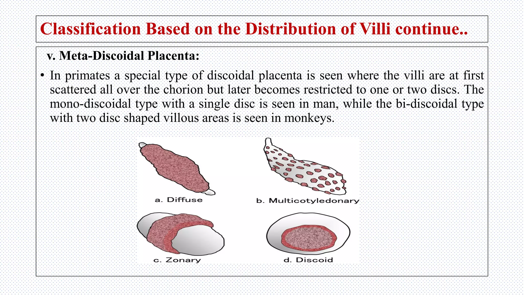 Placentation in Mammals | PDF