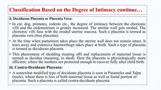 Placentation in Mammals | PDF