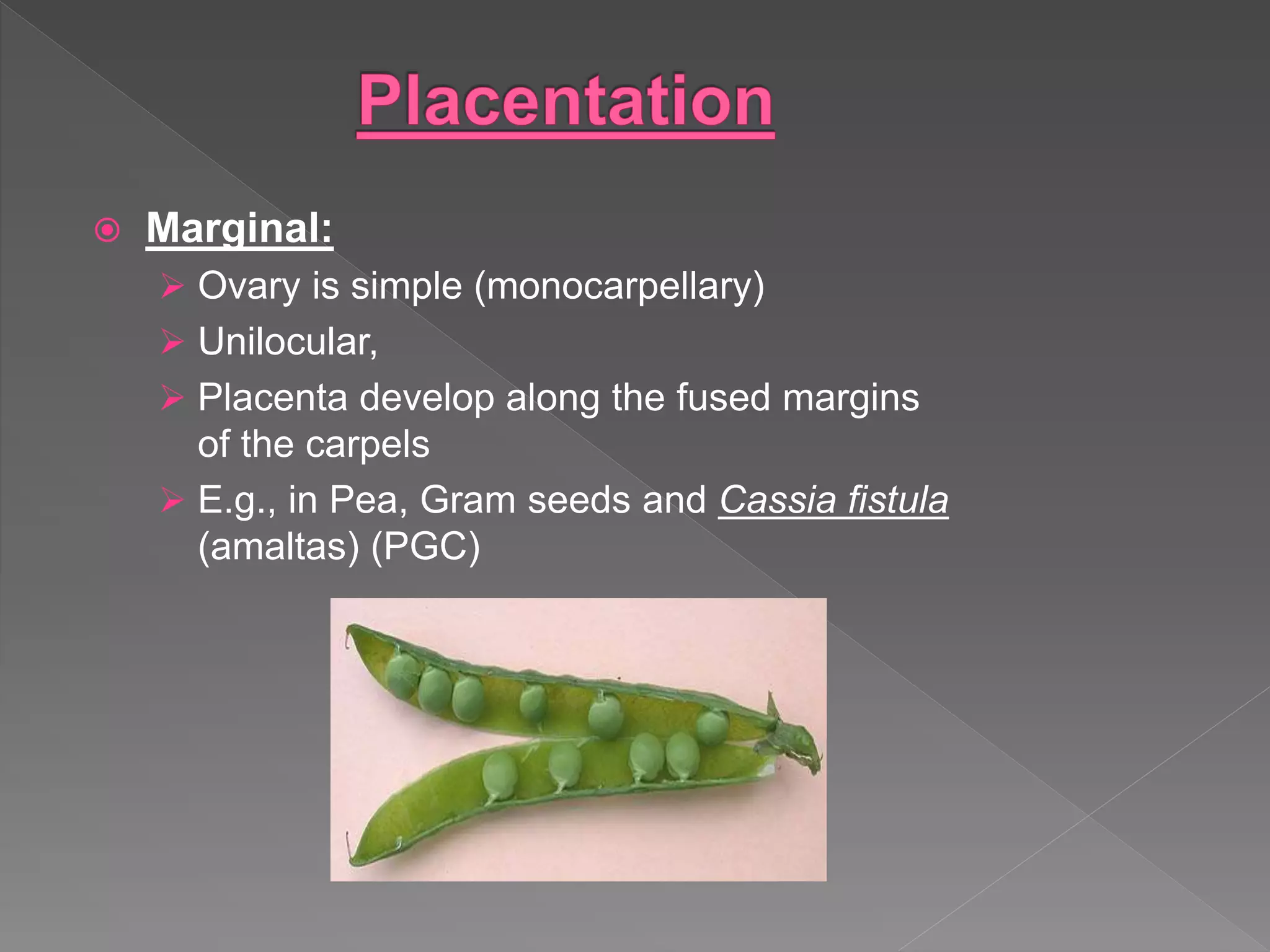 Placentation (Botany) | PPTX