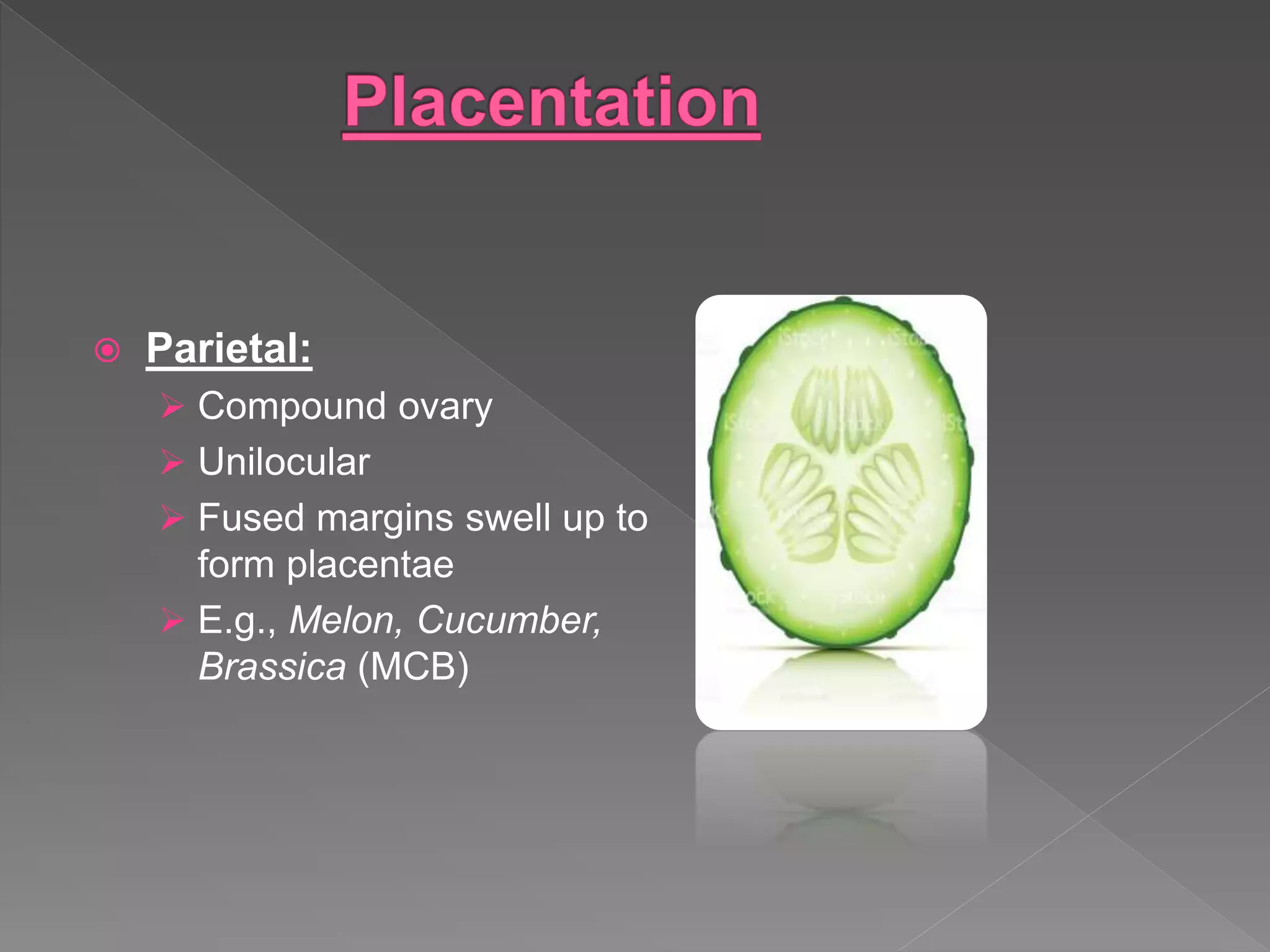 Placentation (Botany) | PPTX