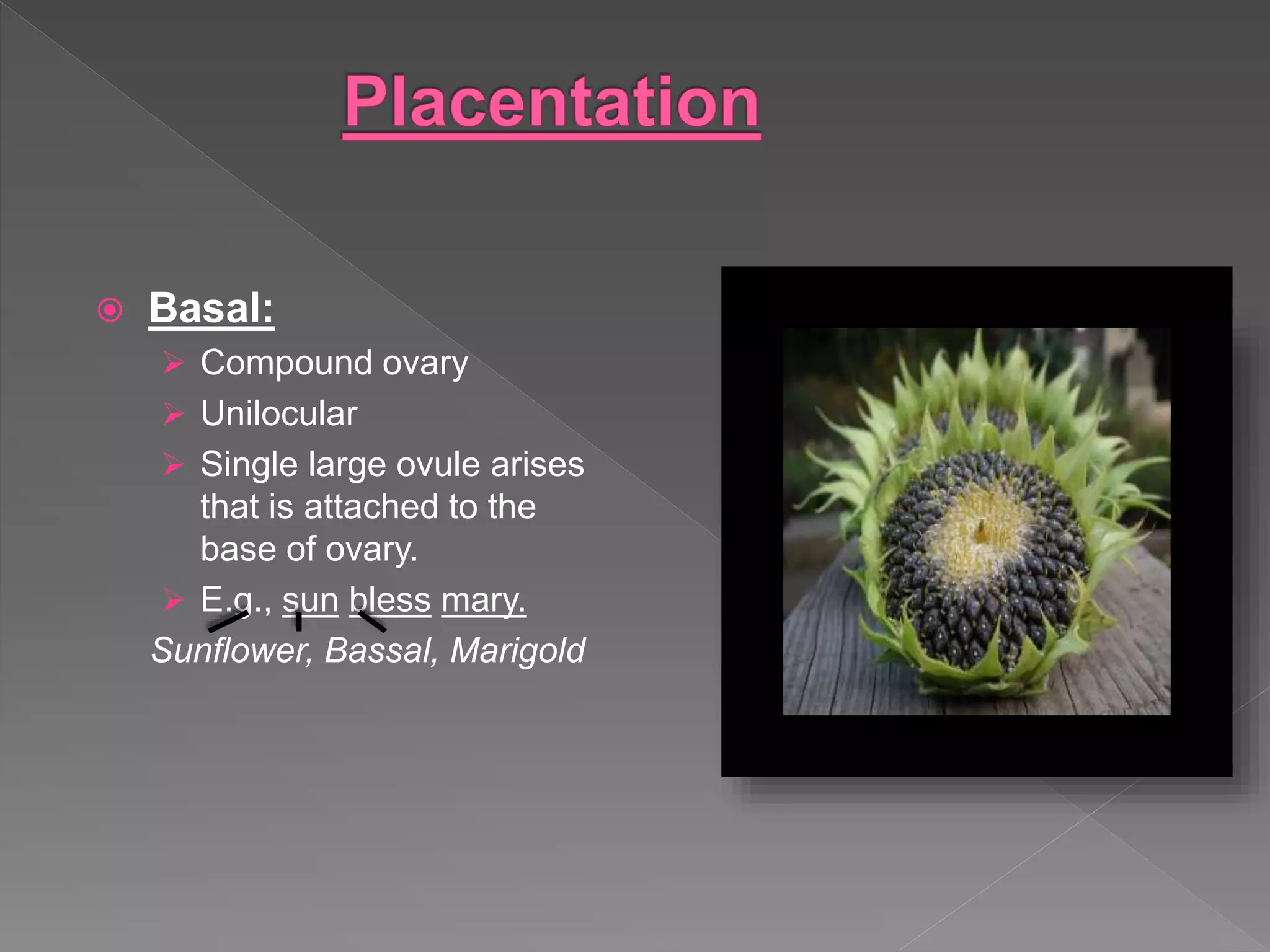 Placentation (Botany) | PPTX