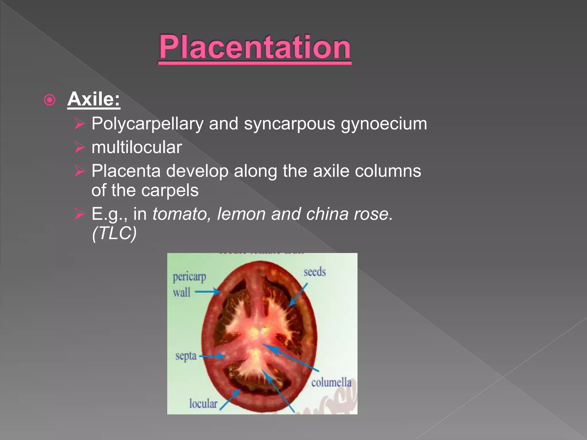 Placentation (Botany) | PPTX