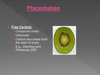 Placentation (Botany) | PPTX