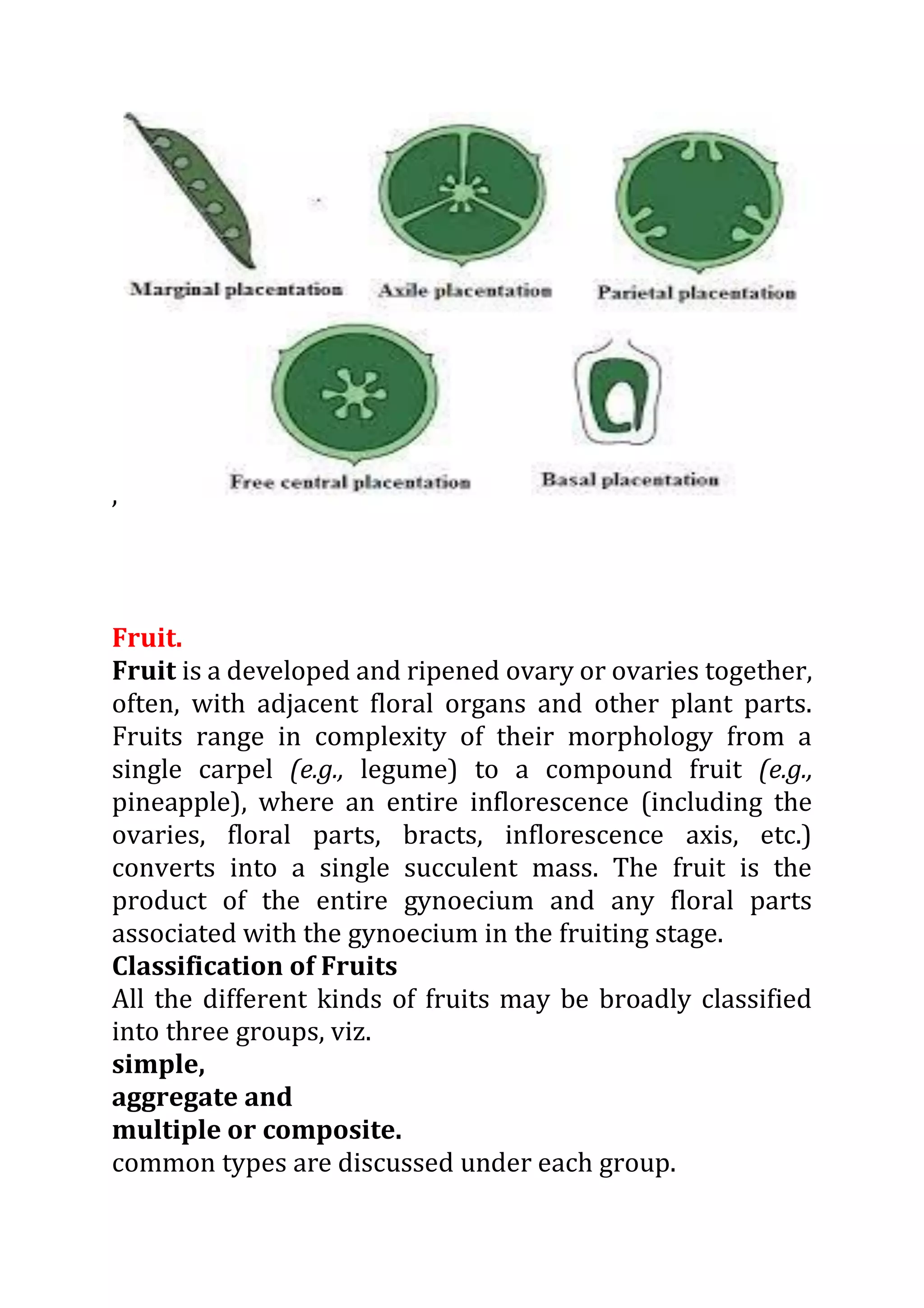Placentation and fruits types.pdf