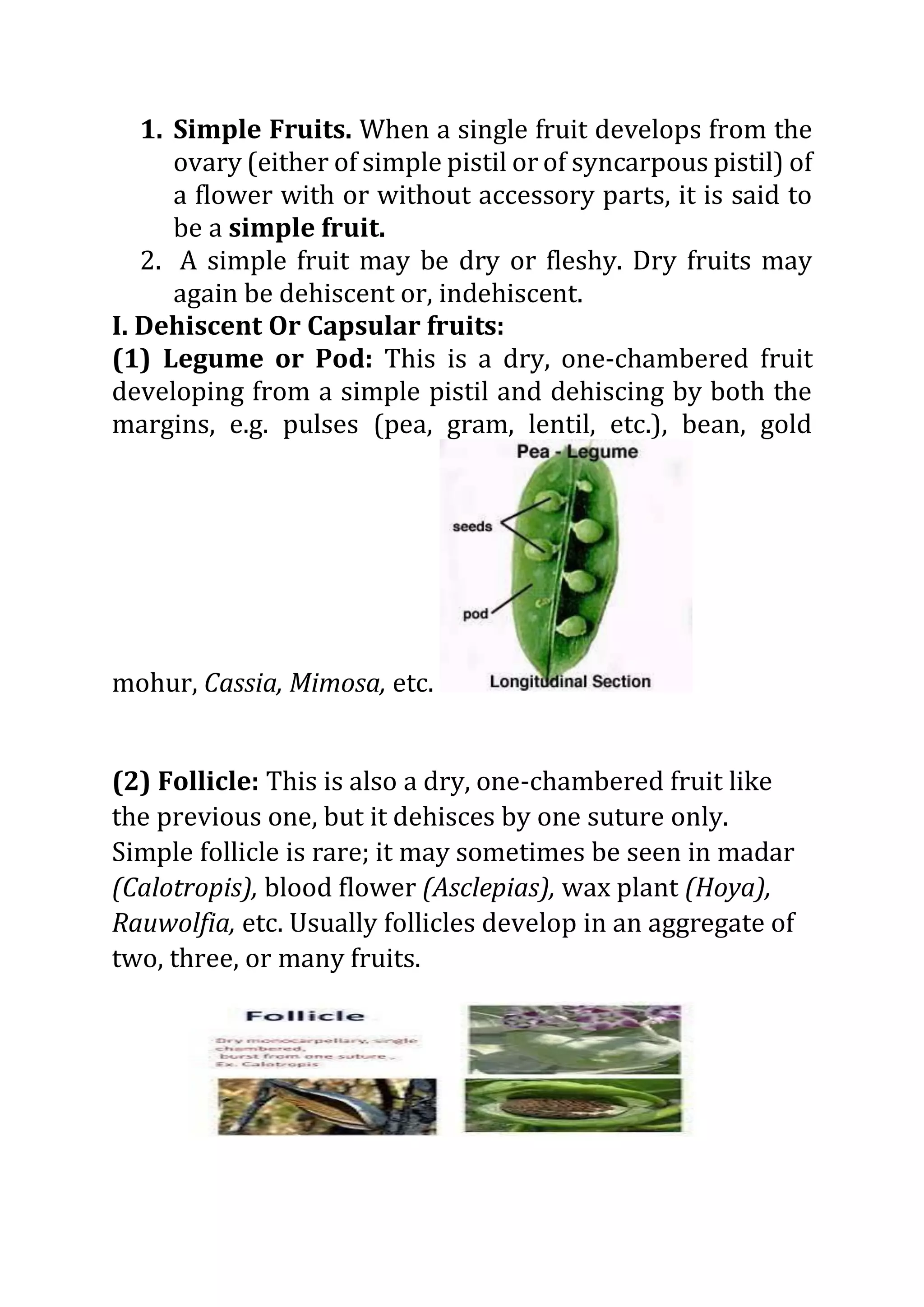 Placentation and fruits types.pdf
