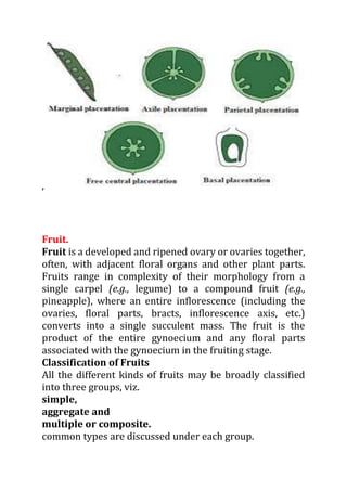 Placentation and fruits types.pdf