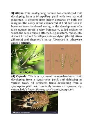 Placentation and fruits types.pdf