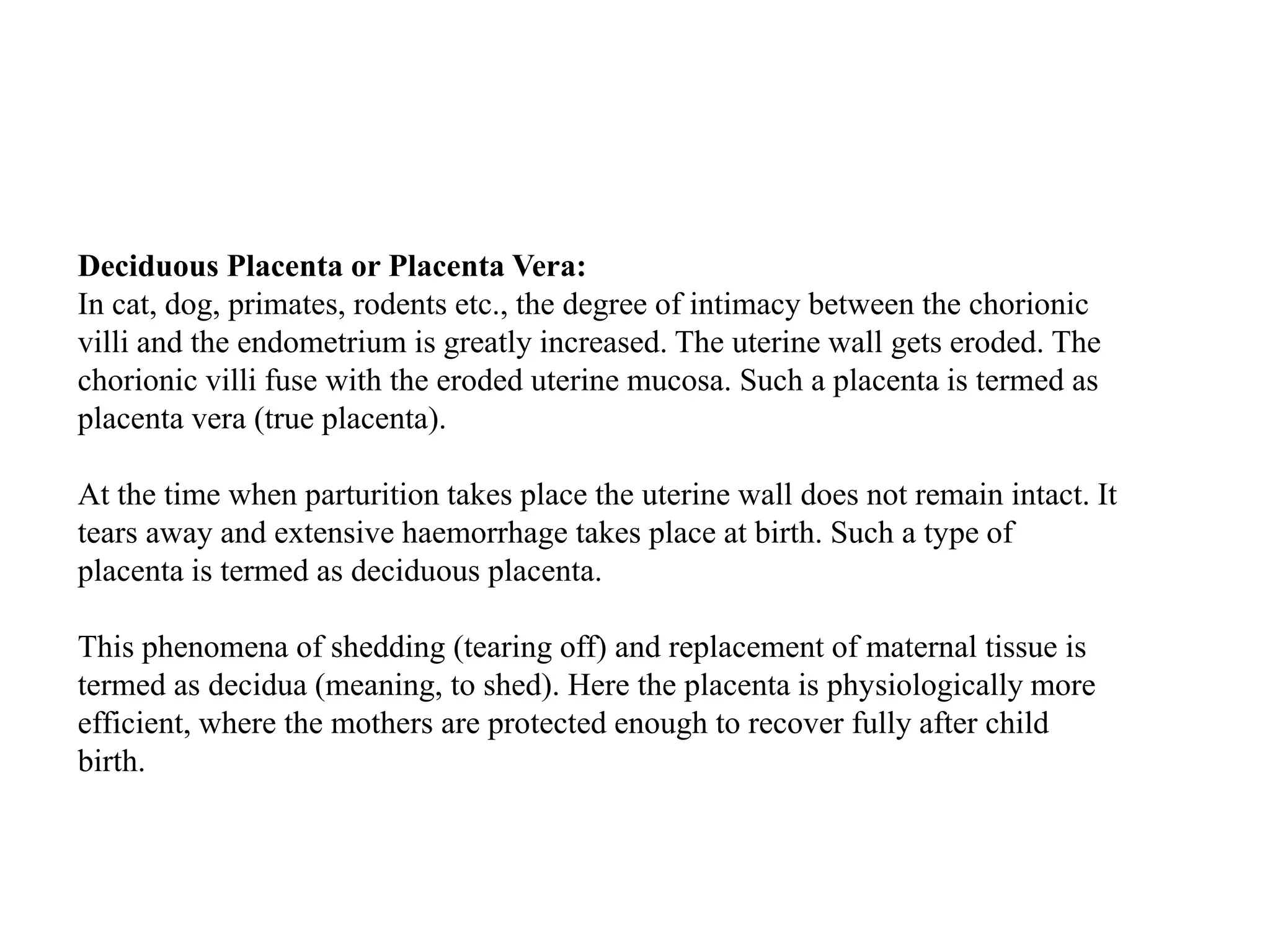 placentation in animals ppt_014943.pptx