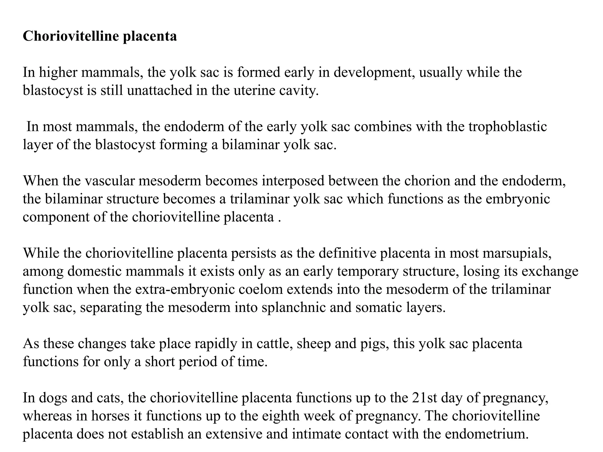 placentation in animals ppt_014943.pptx