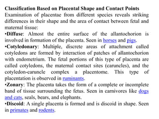 placentation in animals ppt_014943.pptx
