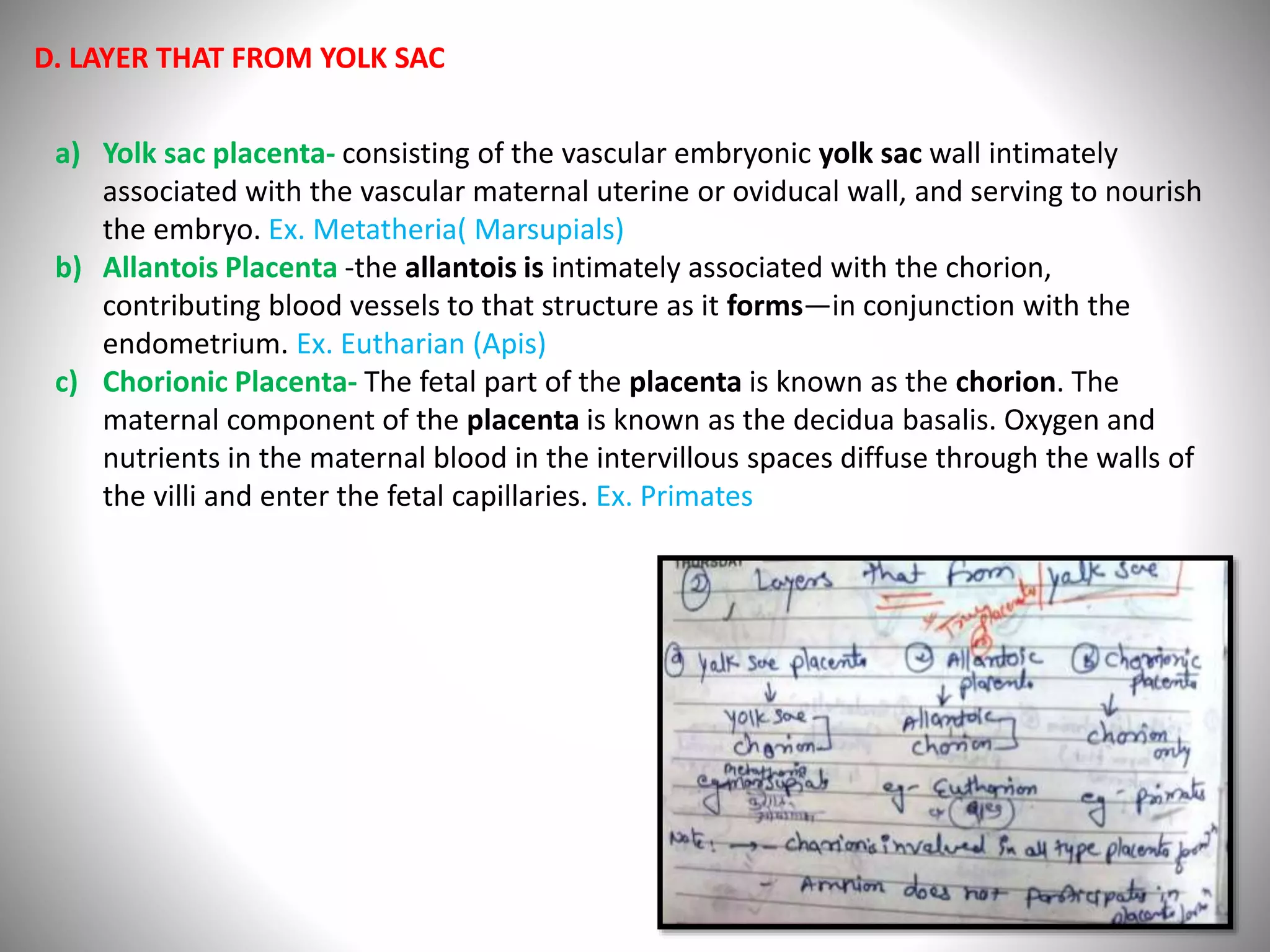 Placentation in mammal,classification of placenta and function | PPTX