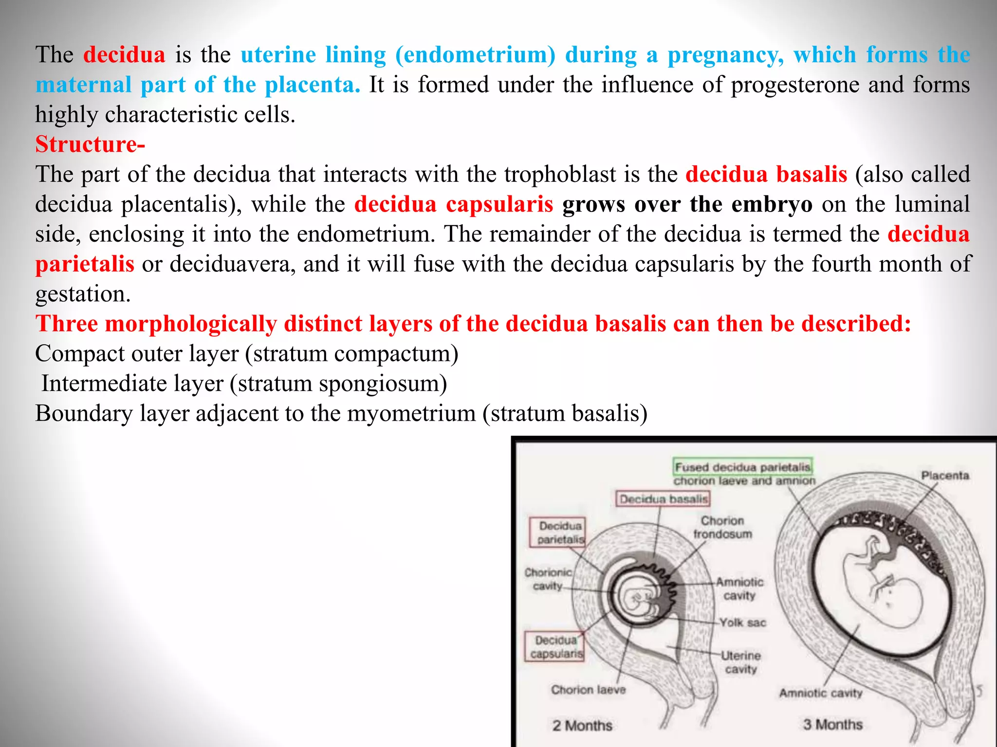Placentation in mammal,classification of placenta and function | PPTX