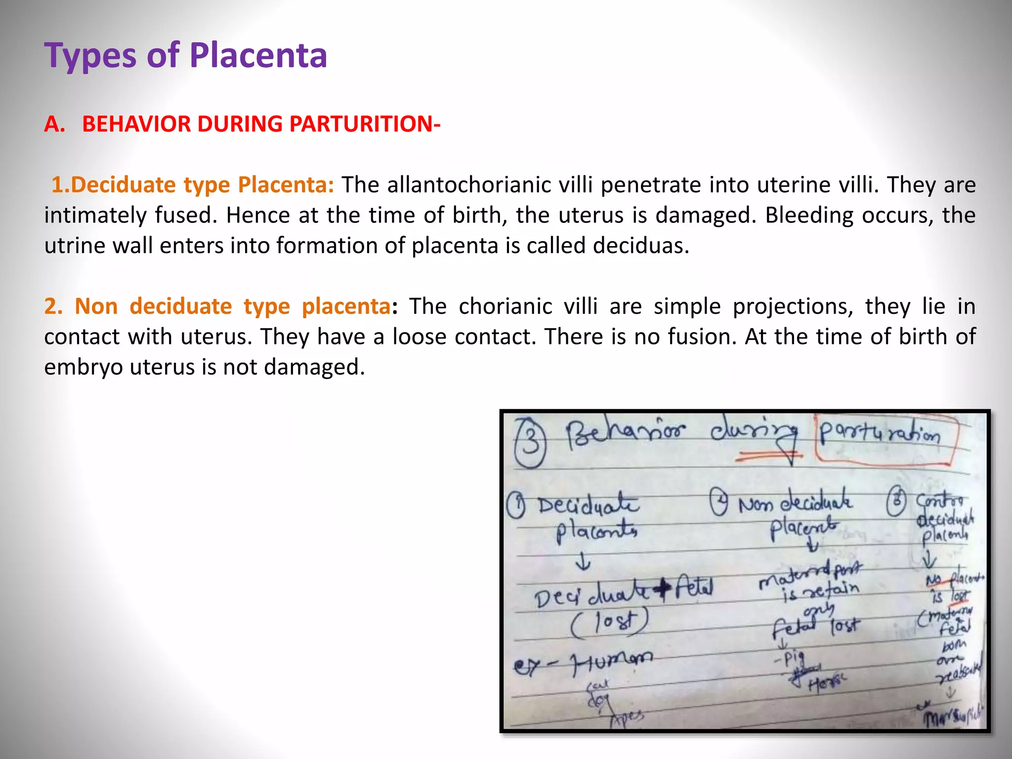 Placentation in mammal,classification of placenta and function | PPTX