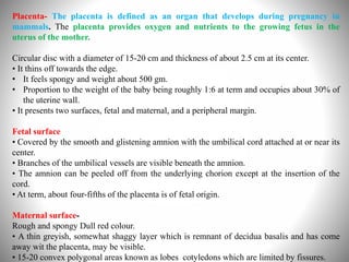 Placentation in mammal,classification of placenta and function | PPTX
