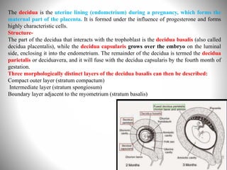 Placentation in mammal,classification of placenta and function | PPTX